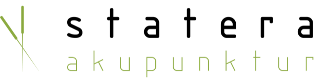 Terms and Conditions - statera.fo